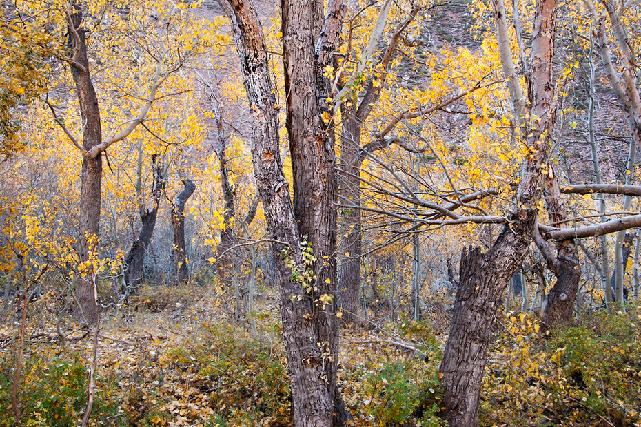 Sam Roberts Photography's website